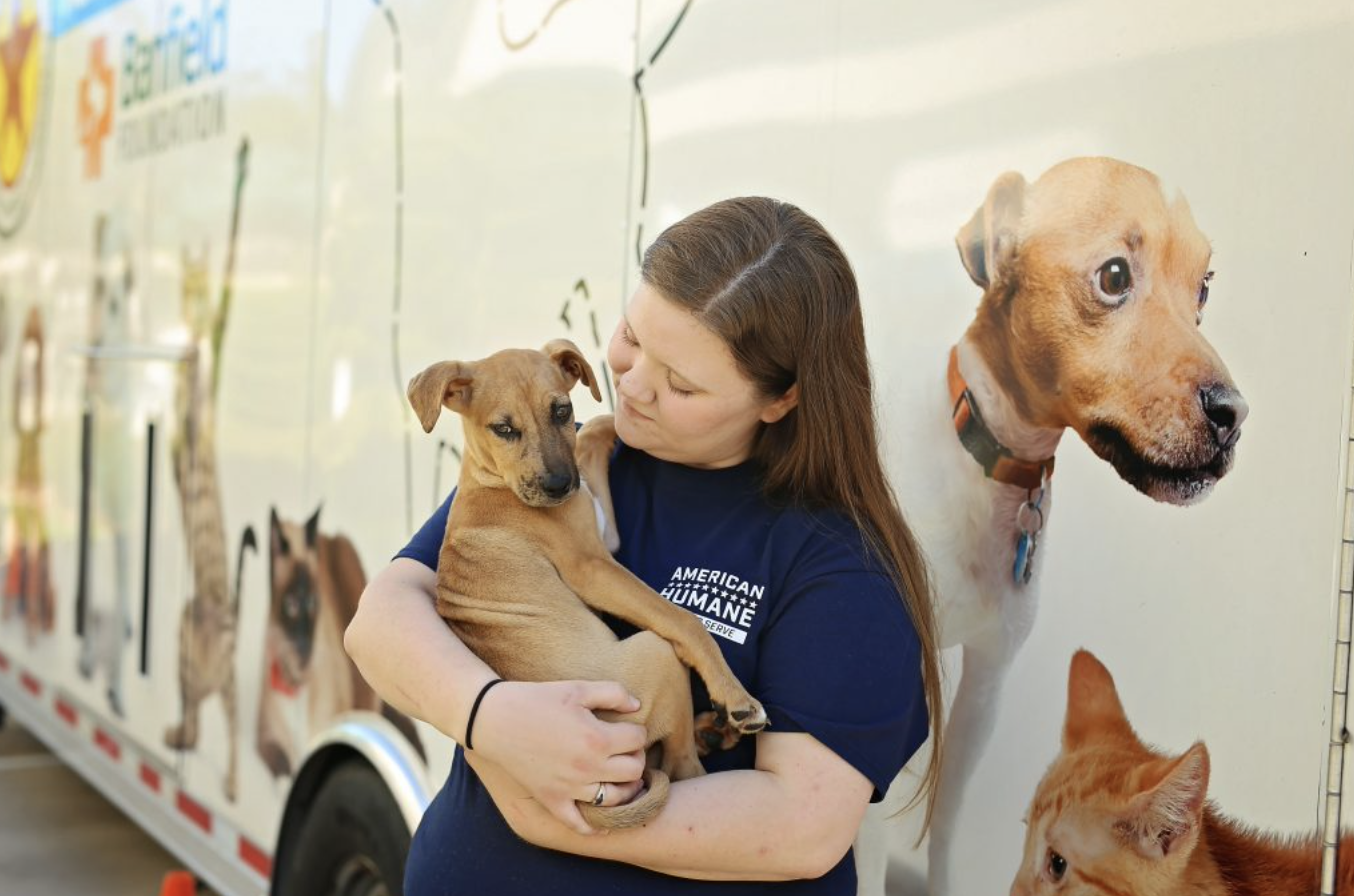 American Humane Marks The 108th Annual 'Be Kind To Animals Week' - The ...