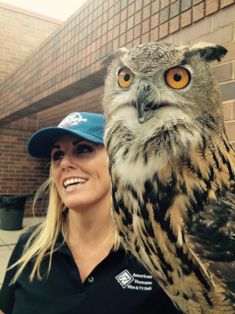 American Humane's “No Animals Were Harmed” Program Now Free Worldwide