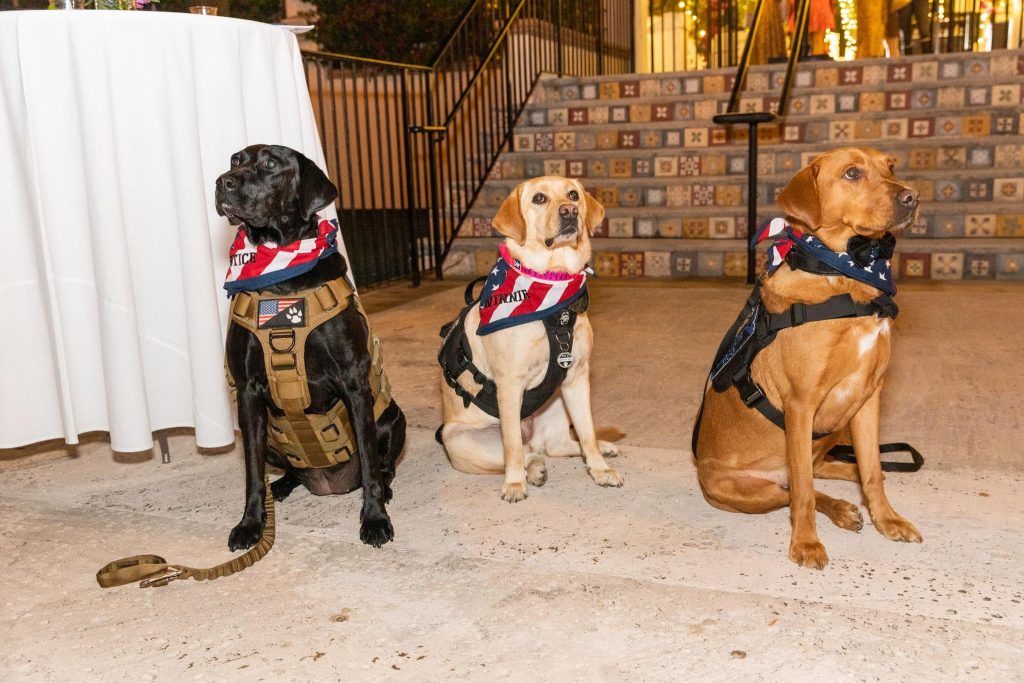 Heroic Hounds Steal the Show at American Humane's Pups4Patriots Reception - The Buzz Agency