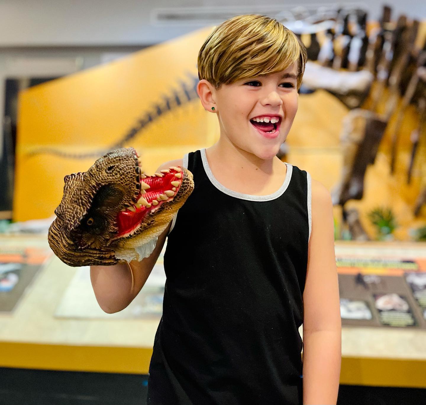 Roar in the Summer at The Mall at Wellington Green: July & August ...